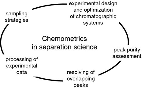 Different Steps Of The Analytical Process Involving Separation