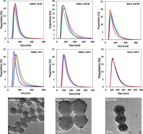Sex Specific Silica Nanoparticle Protein Corona Compositions Exposed To