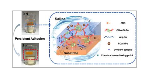 High Strength Hydrogel Adhesive Formed Via Multiple Interactions For