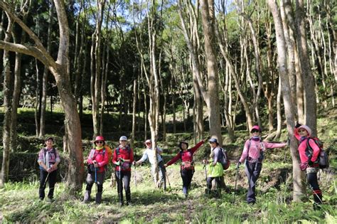 矺子後山連走水頭排山鎮石山薯園山 健行筆記