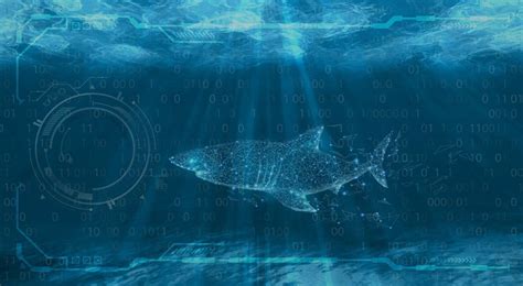 Get Wireshark Training Learn Wireshark In Just 3 To 5 Days Ec