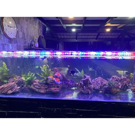 หลอดไฟตู้ปลา ไฟledสำหรับตู้ปลากันน้ำ มีแสงไฟ3แบบ ขนาด7นิ้ว 12นิ้ว 20นิ้ว แสงกระจายออกได้อีกหลาย