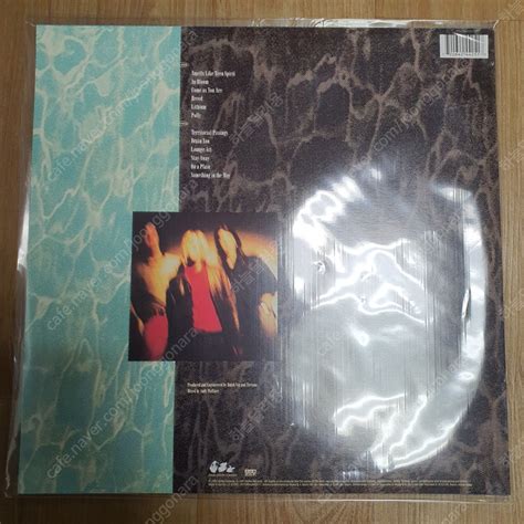 너바나 네버마인드 Lp Cd 중고나라