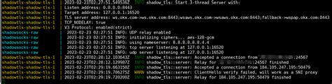 Ws Okx Sni Issue Ihciah Shadow Tls Github
