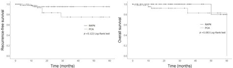 Figure 2 From Comparison Of Clinical Outcomes Between Robot Assisted Partial Nephrectomy And