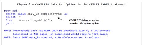 Using Data Set Options In Proc Sql Sas Training Institute Learn Sas