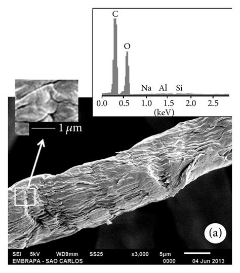 Sem Micrographs And Eds Measurements Detail Of A Unmodified And B Download Scientific