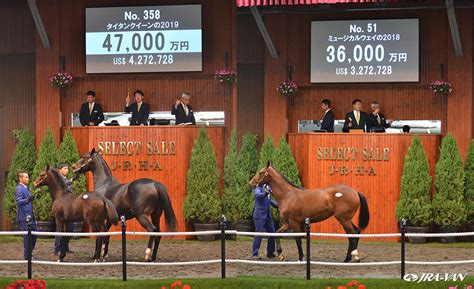 セレクトセール2019特集｜競馬情報ならjra Van