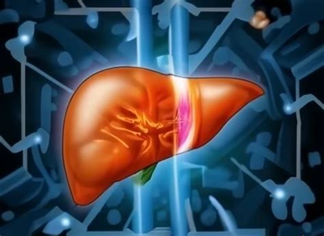 Understanding The Ggt Test Purpose Procedure And Results Explained