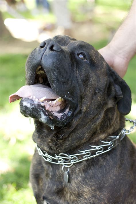 Github Hiroharu Katofastgaussianfilter