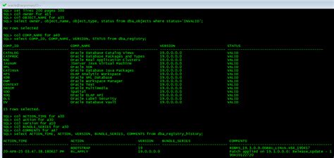 Oracle 19c Rac Patching Using Opatchauto Apply Serhat Celik Database Blog