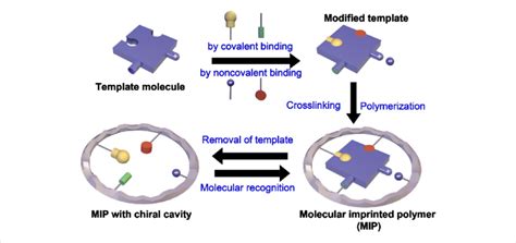 The Formation Of Molecular Imprinted Polymers For Chiral Recognition 39 Download Scientific