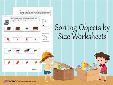 35 Sorting Objects By Size Worksheets Free Printable Brainor
