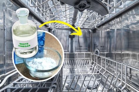 How To Clean A Dishwasher With Soda Crystals At Ross Brown Blog