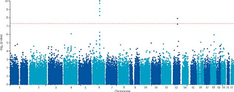 Identification Of Genetic Loci Associated With Nocturnal Enuresis A