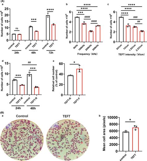 Tumor‐suppressing Effect In Vitro Under Different Parameters And Output