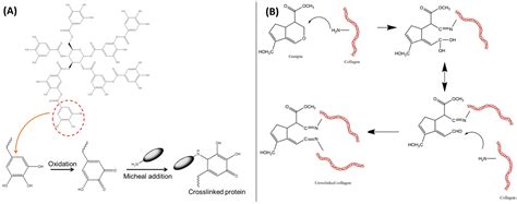 Cross Linking Agents In Three Component Materials Dedicated To