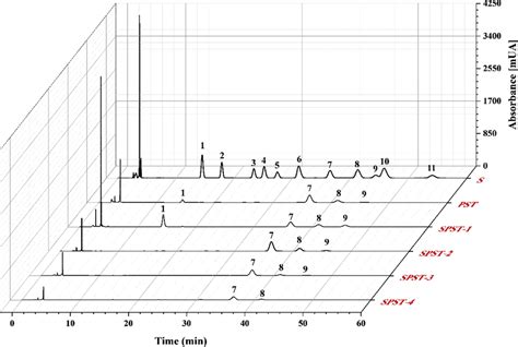 Sulfated Modification Basic Characterization Antioxidant And Anticoagulant Potentials Of
