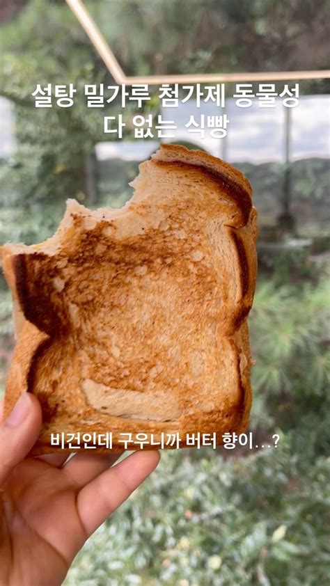 Losugofficial • Instagram Photos And Videos