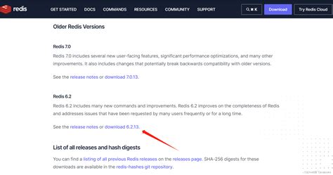 Centos下redis6x安装教程centos安装redis6 Csdn博客