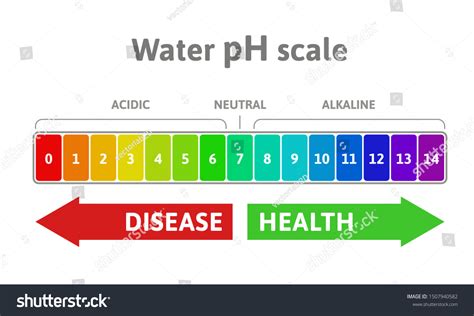 Water Ph Value Scale Diagram Acid Stock Vector Royalty Free