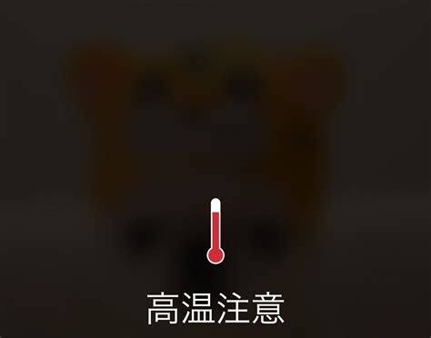 幾田 りら On Twitter インスタライブありがとう🕴🏻 こんな真冬に高音注意を叩き出すという。笑 今日好き ツーショットどきどき