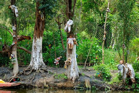 Inspirasi Populer Aokigahara Forest Dead Bodies
