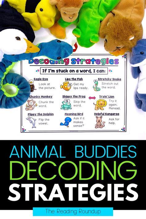Animal Decoding Strategies Posters Decoding Strategies Decoding