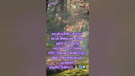 විශ්වයේ ආශිර්වාදය ලබන කෙනෙක් වේවා 🦋 ස්තුතියි විශ්වය මාතාවනි 🙏🦋🌍 Youtube