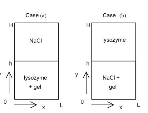 Sketch Of The Configuration Investigated Download Scientific Diagram