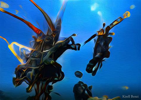 Kirell Benzi Towards Data Driven Art