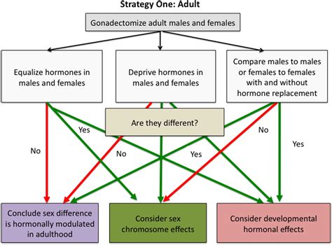 Sex Differences In The Brain The Not So Inconvenient Truth Journal