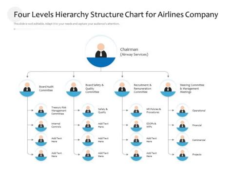 Four Levels Hierarchy Structure Infographic