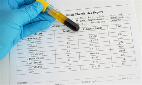 What Is Alpha 1 Globulin Serum