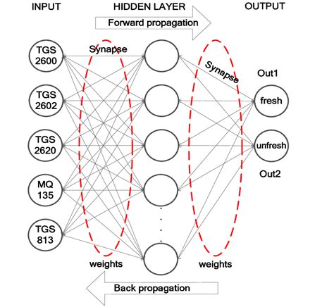 The Multilayer Perceptron Structure Of The Designed Neural Network Download Scientific Diagram