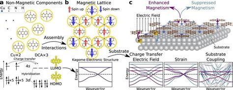Magnetism Or No Magnetism The Influence Of Substrates On Electronic Interactions Lifeboat