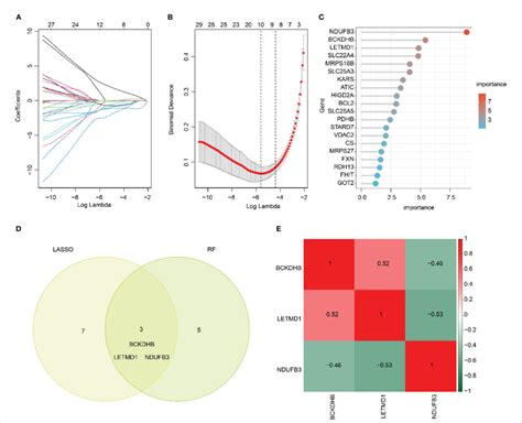 Feature Biomarkers Selection Via Machine Language Algorithms A B