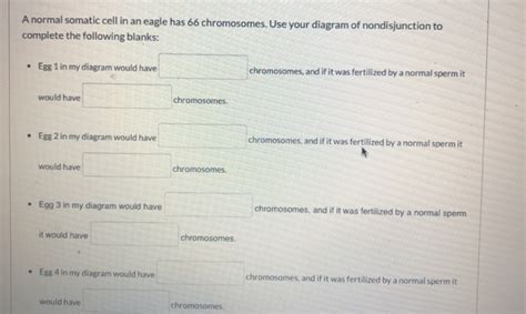 Solved Eagles Use The ZW Sex Determination System Where The Chegg Com