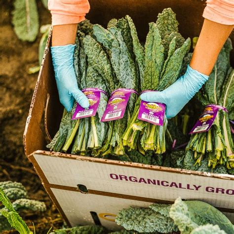 Organic Farming Cal Organic Farms Organic Plants Organic Organic