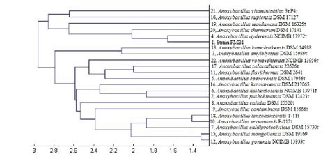Phenogram Tree Showing The Similarity And Relationship Of The Phenetic
