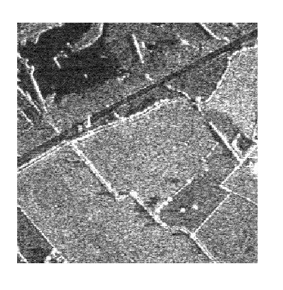 SAR Image Compression Using Wavelets ICSP