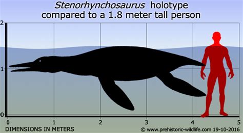 Stenorhynchosaurus