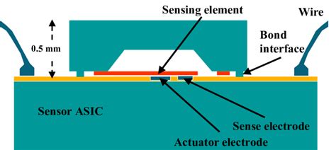 Schematic View Of The Accelerometer Download Scientific Diagram