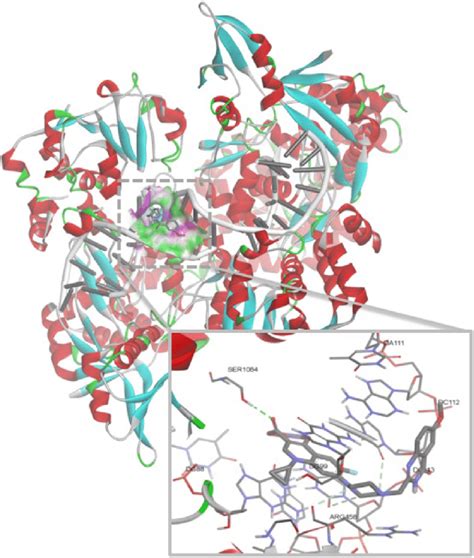 Proposed Binding Mode For Compound 5d Download Scientific Diagram