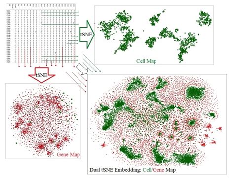 Visualizing High Dimensional Data