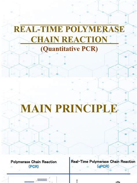Real Time Pcr Techniques Explained Pdf