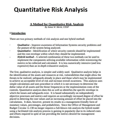 Risk Mitigation Analysis Template Free Word Templates
