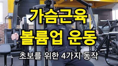 가슴근육 볼륨업 운동 초보를 위한 4가지 동작 Youtube