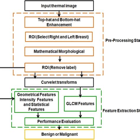 Breast Cancer Detection Methods Download Scientific Diagram
