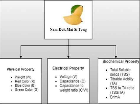 Figure 1 From Attribute Based Maturity Grading Of Mango Fruit By